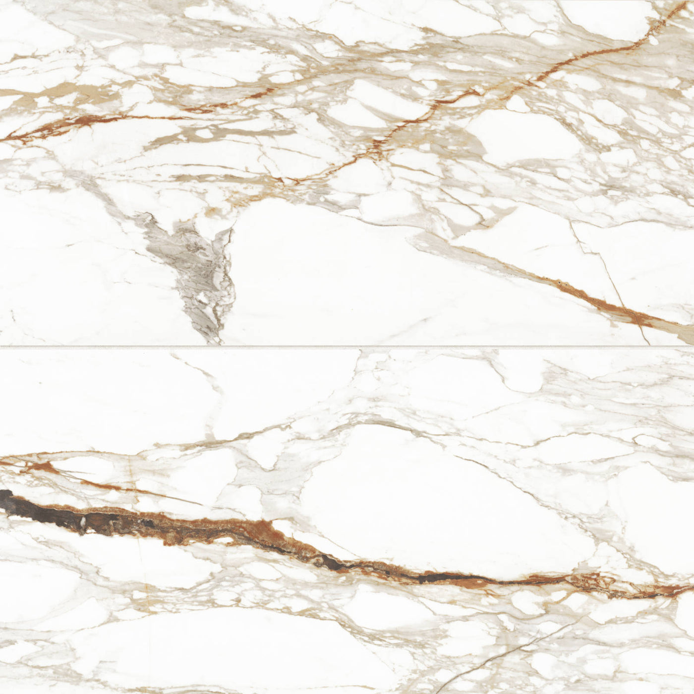Bedrosians - Prati 24" x 48" Honed Porcelain Field Tile - Calacatta Ma ...