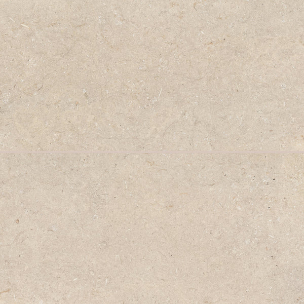 Bedrosians - Poetry Stone 24" x 48" Matte Porcelain Field Tile - Beige ...