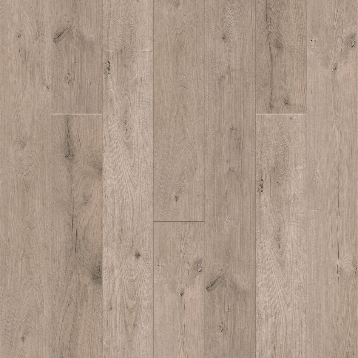 Engineered Floors - Wood Lux Collection - 8 in. x 54 in. - Charles Bri ...