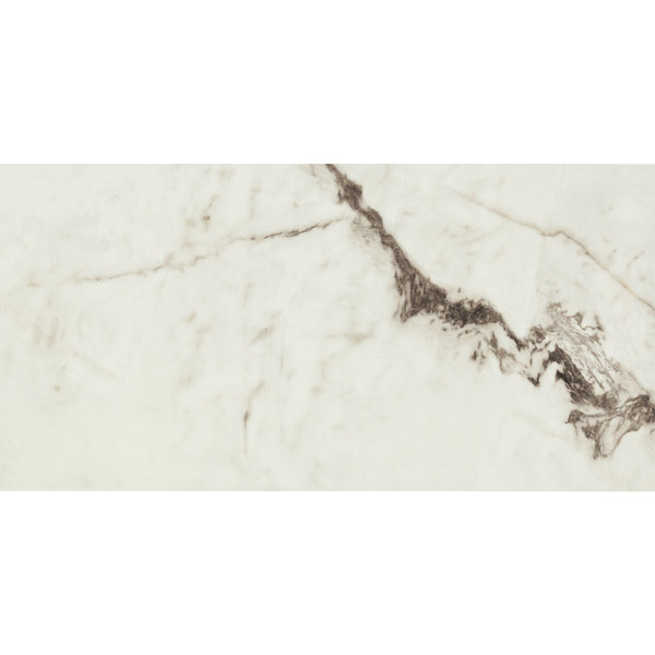 American Olean - Foyer 12 in. x 24 in. Colorbody Porcelain Tile - Poli ...