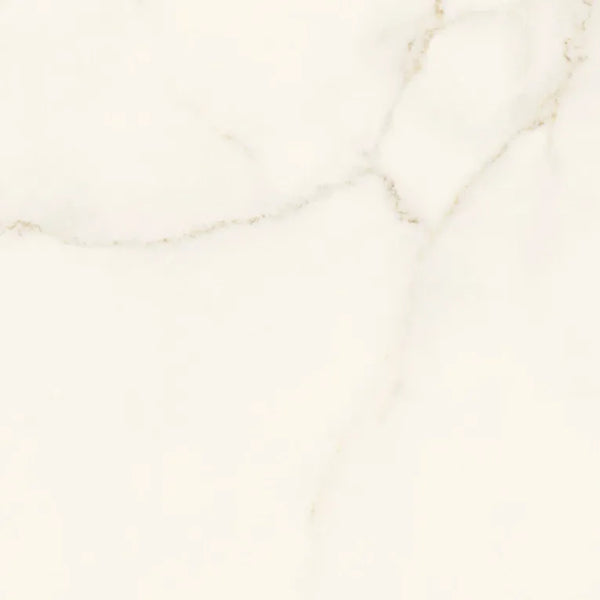 Arizona Tile - Marvel 24" x 24" Polished Rectified Porcelain Tile - Ca ...