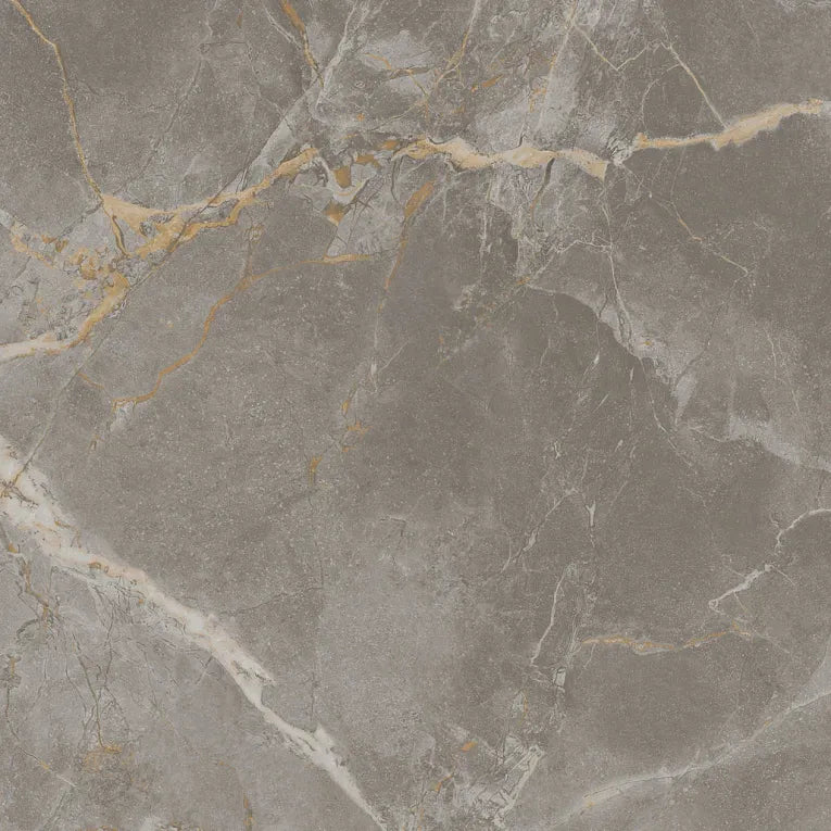 Arizona Tile - Marvel 24" x 24" Polished Rectified Porcelain Tile - Fi ...