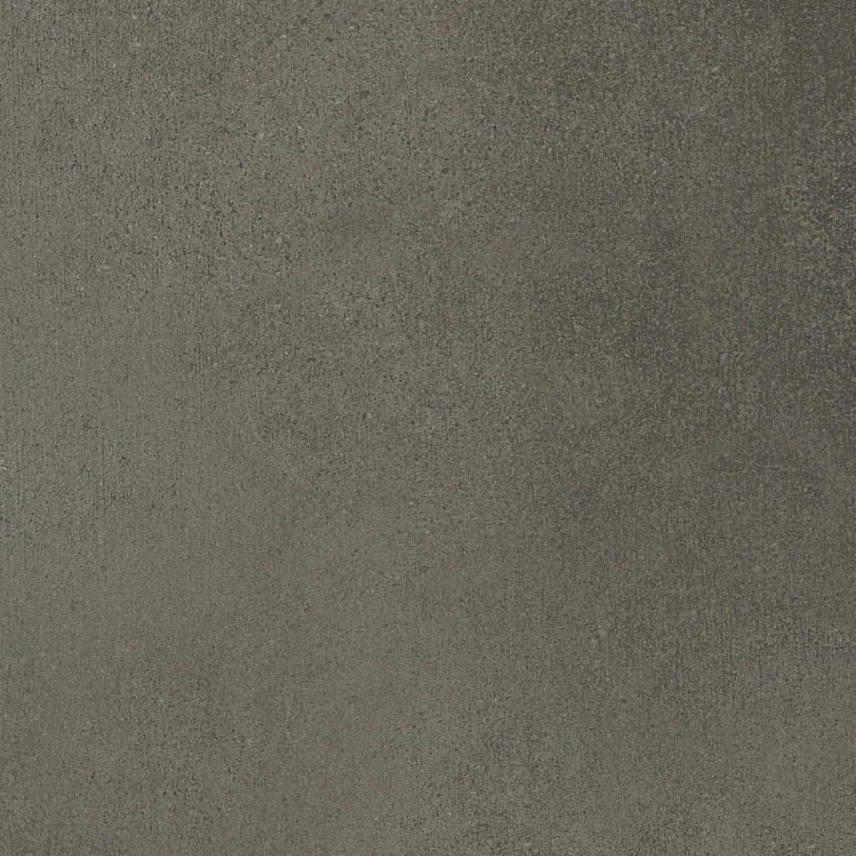 Daltile - Volume 1.0 - 12 in. x 12 in. Glazed Porcelain Tile - Intensi ...