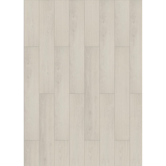 Inhaus - Solido Visions Collection With Pad - Darwin — Floorzz
