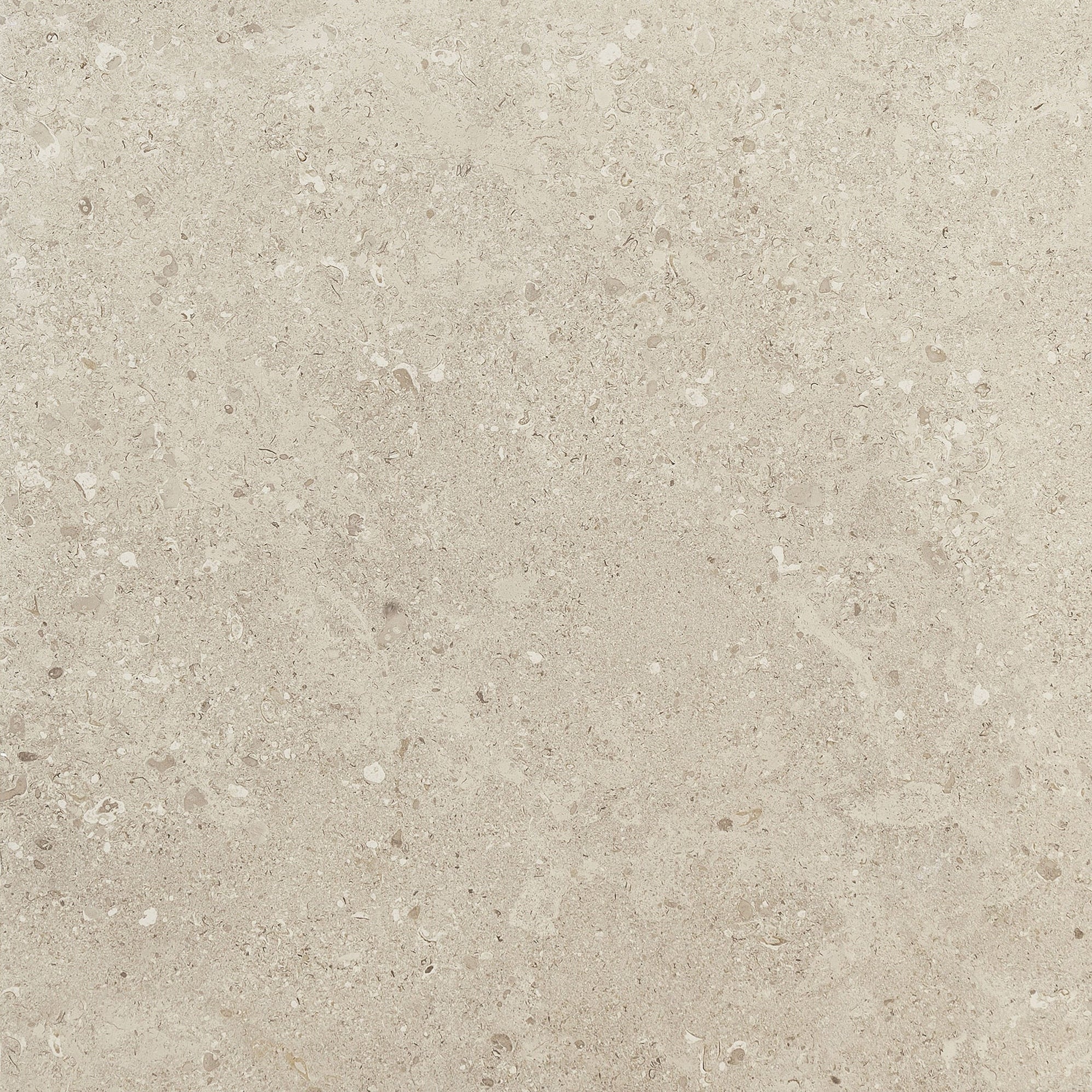 Daltile - Dignitary 24 in. x 24 in. Matte Porcelain Tile - Notable Bei ...