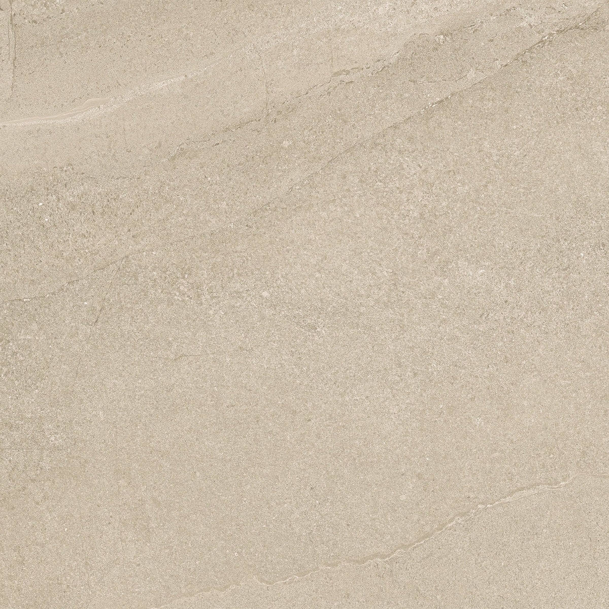 Daltile - Calgary 24 in. x 24 in. Porcelain Tile - Fawn — Floorzz