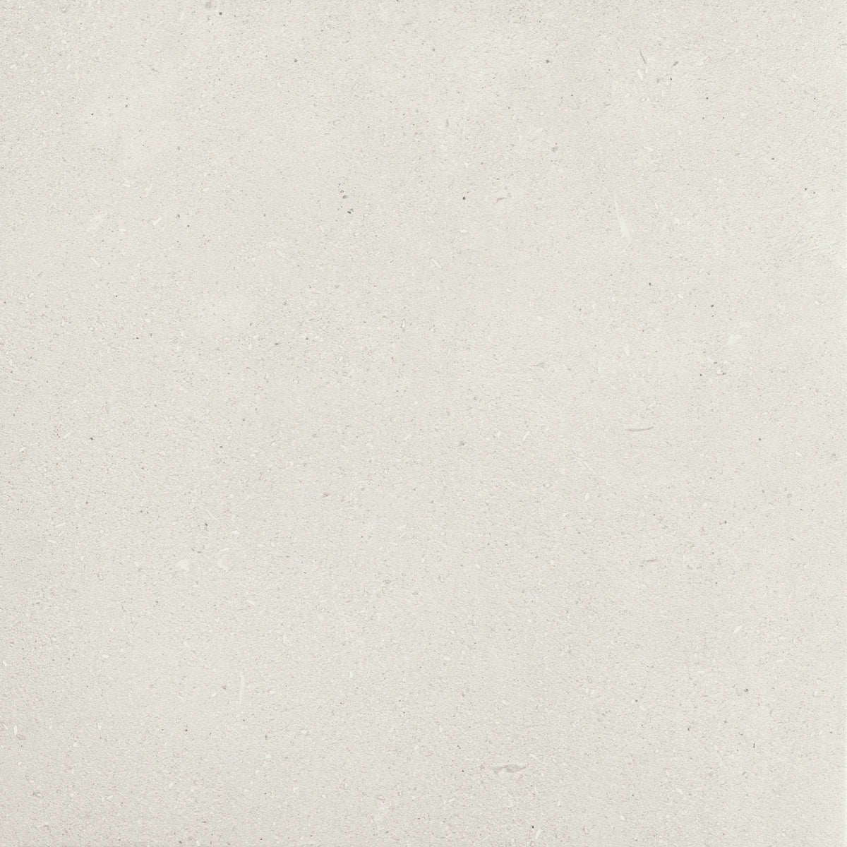Daltile - Outlander 24 in. x 24 in. Porcelain Tile - Palazzo Moonlight ...