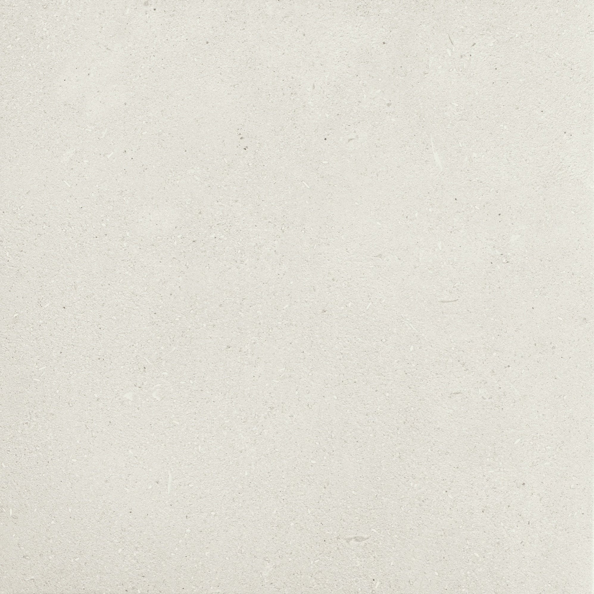 Daltile - Outlander 24 in. x 24 in. Porcelain Tile - Palazzo Moonlight ...