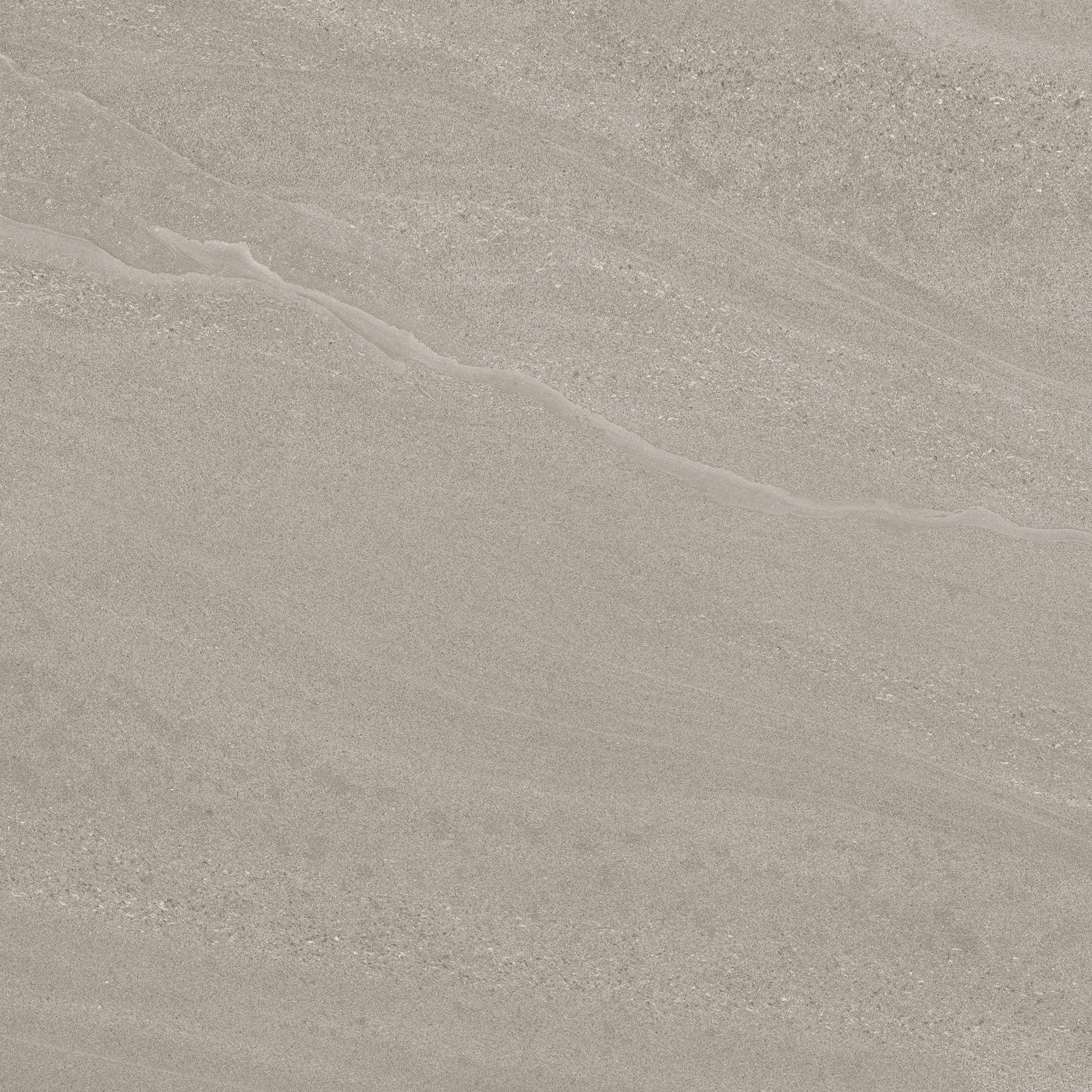 Daltile - Calgary 24 in. x 24 in. Porcelain Tile - Fog — Floorzz