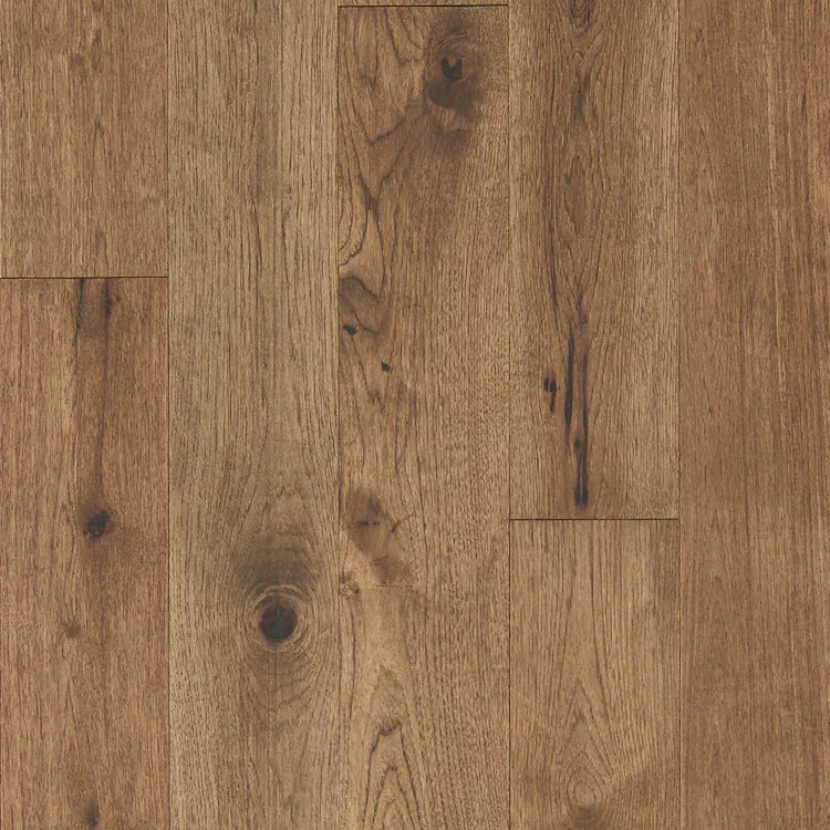 Mannington - Latitude Forest Park - Trail — Floorzz