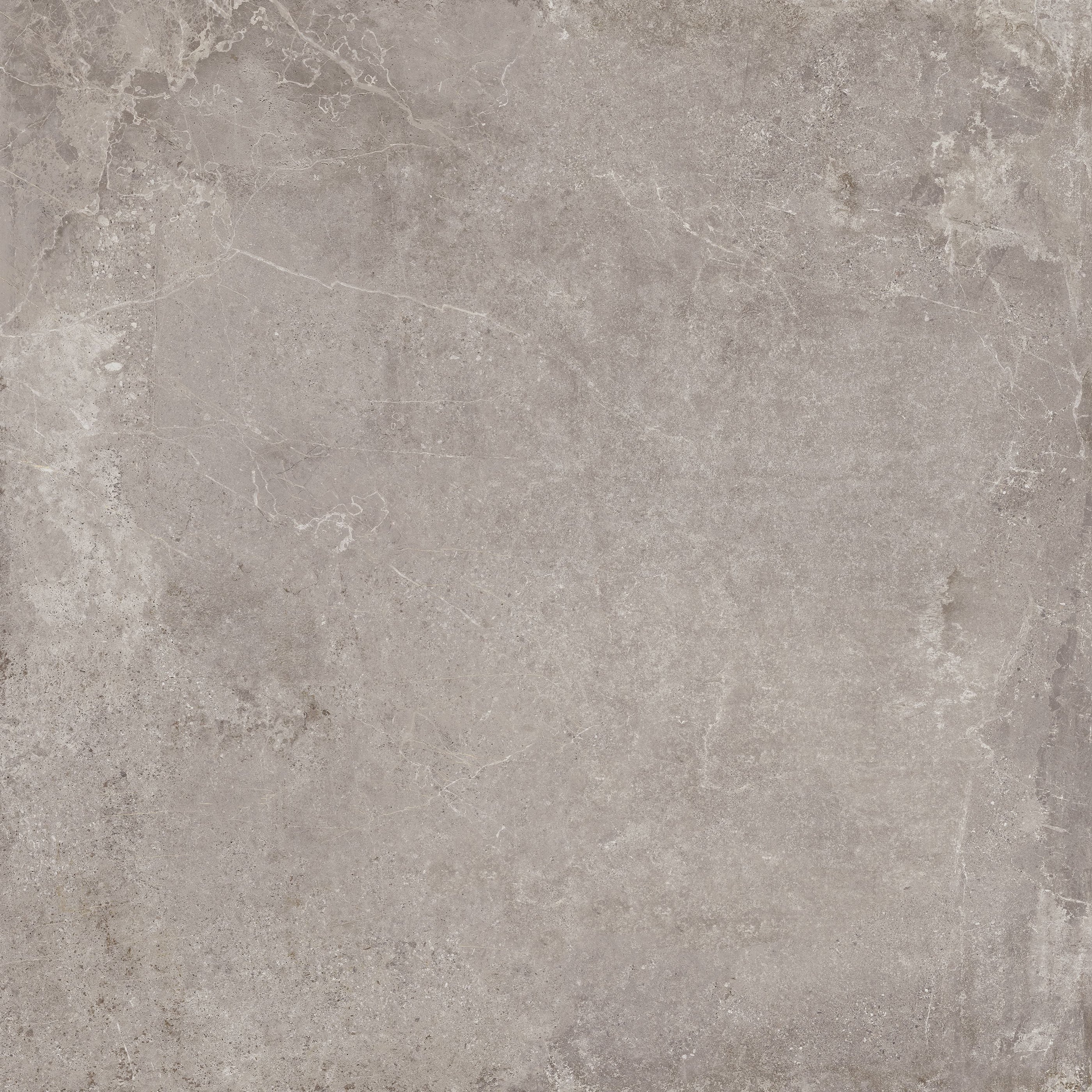Tesoro - Evolution Series - 24 in. x 24 in. Rectified Porcelain Tile ...