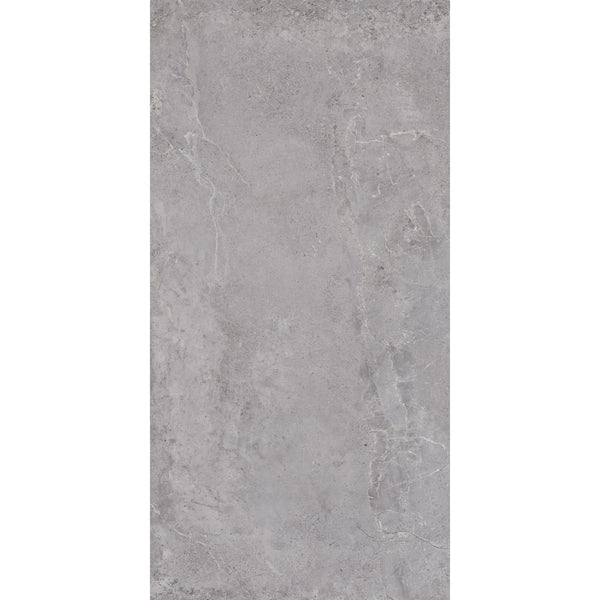 Tesoro - Evolution Series - 24 in. x 48 in. Rectified Porcelain Tile ...