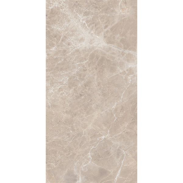 Floors 2000 - Alpha 12 in. x 24 in. Matte Porcelain Tile - Beige Polis ...