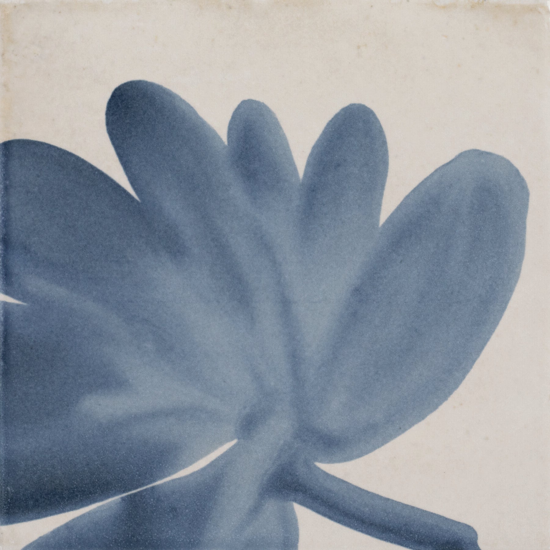 Marazzi - Rice - 6 in. x 6 in. Glazed Porcelain Wall Tile - Natural De ...