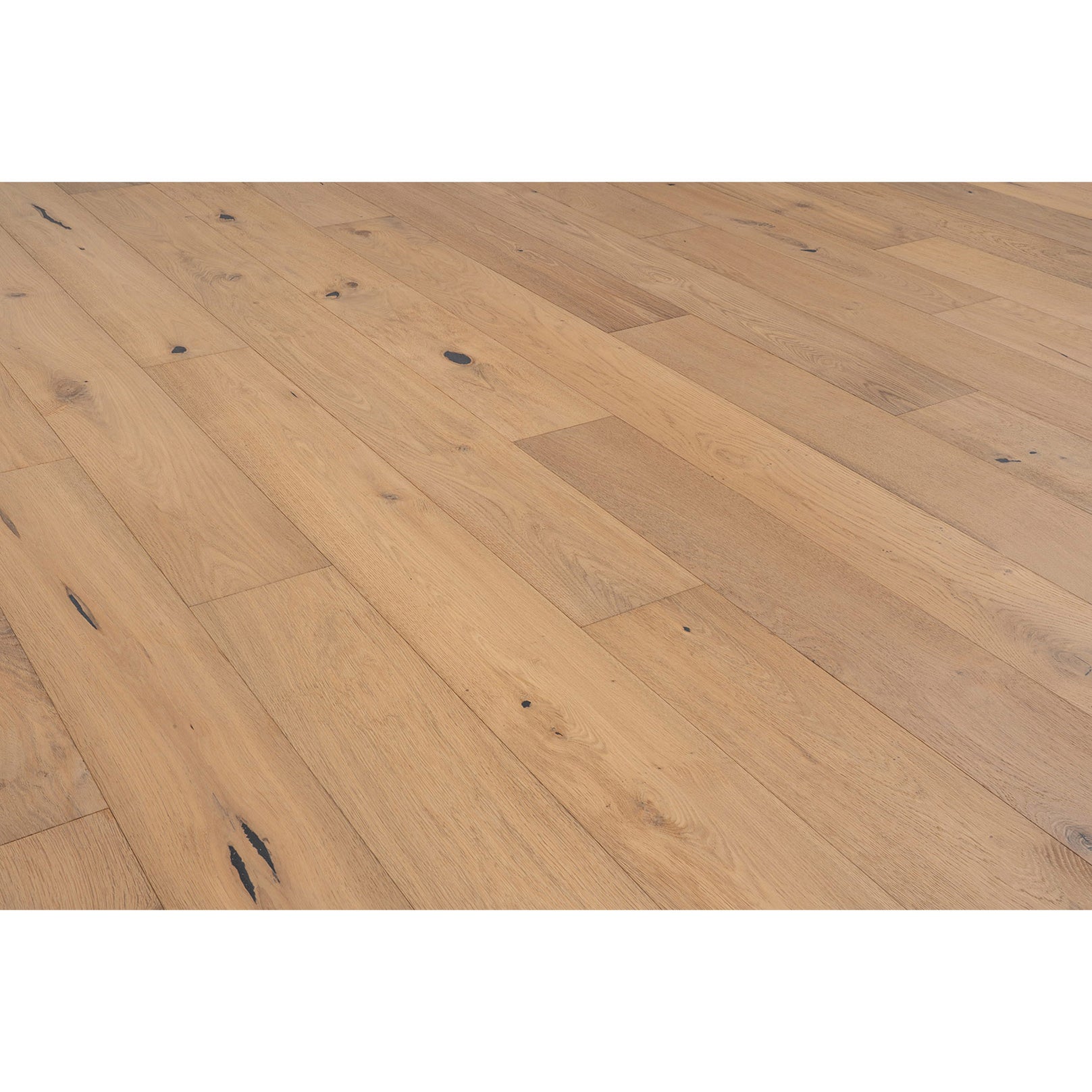 Provenza Floors - Affinity Collection - Acclaim — Floorzz