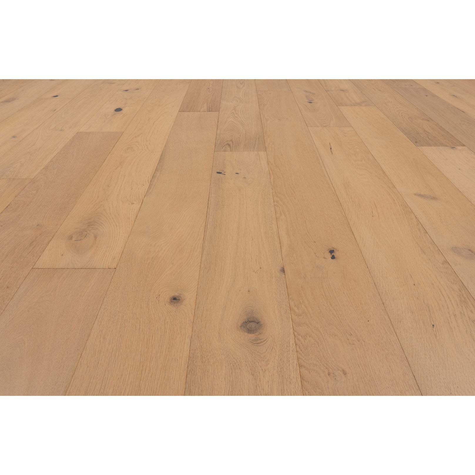 Provenza Floors - Affinity Collection - Acclaim — Floorzz