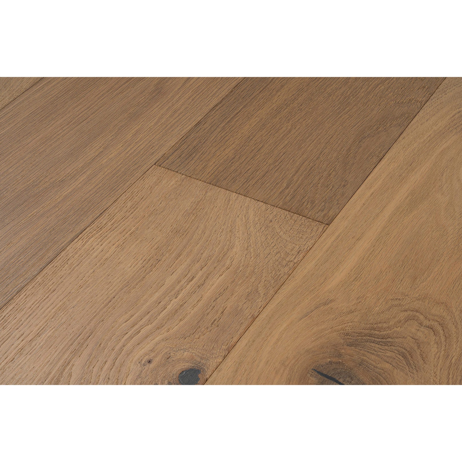 Provenza Floors - Affinity Collection - Celebration — Floorzz