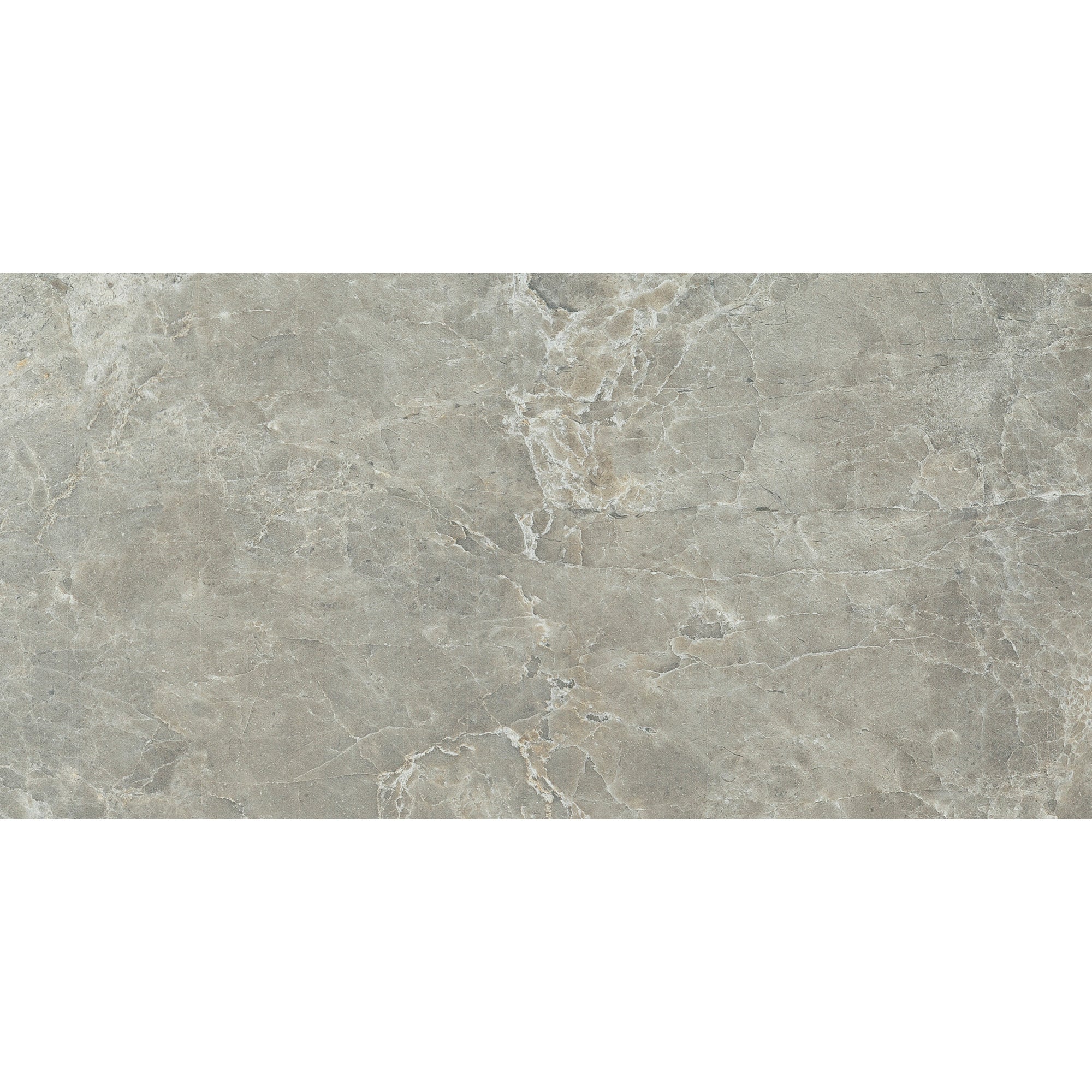 Tesoro - Hydra Series - 12 in. x 24 in. Matte Porcelain Tile - Grey ...